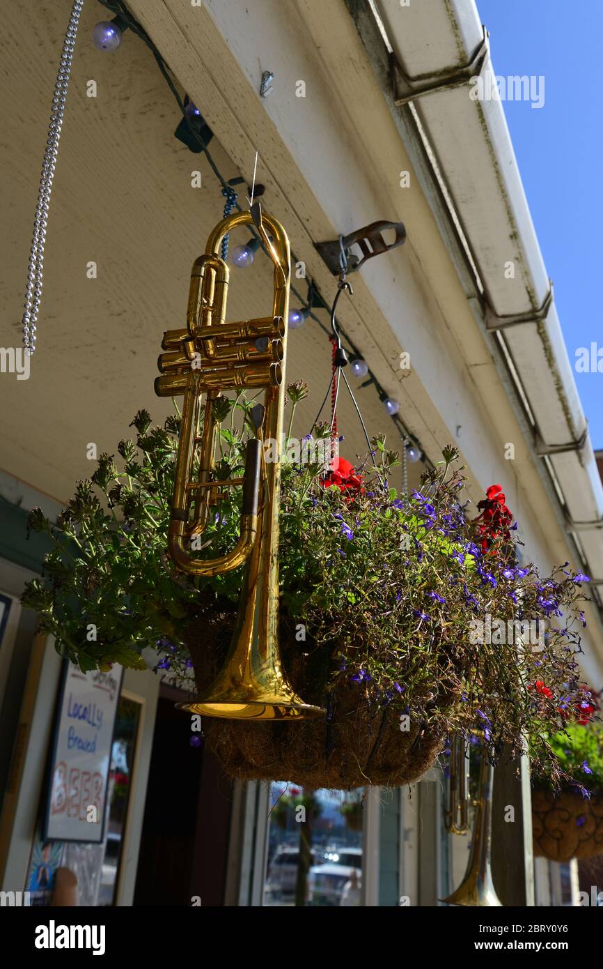 Trumpet, Hanging baskets Stock Photo - Alamy