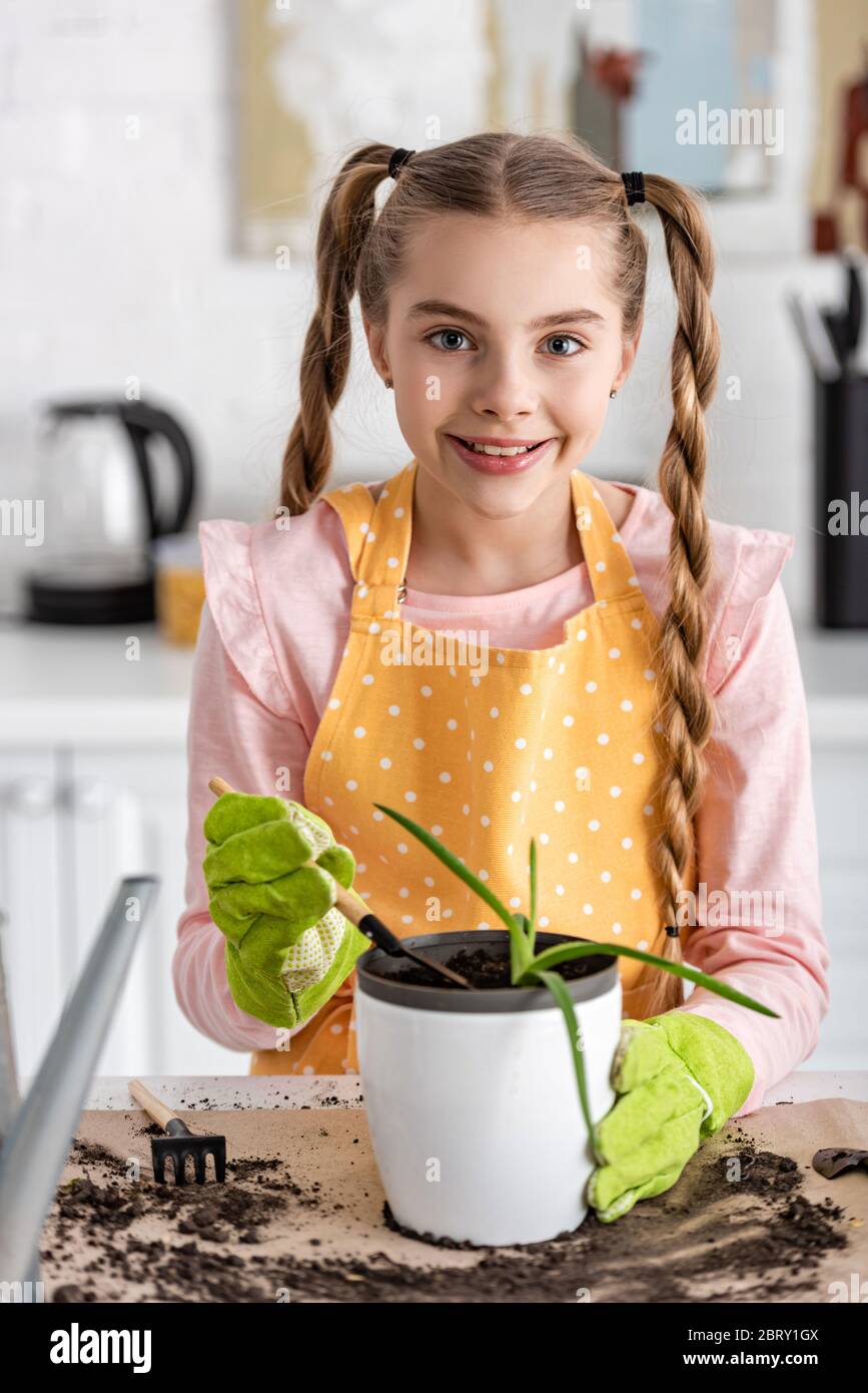 Child looking at ground leaves hi-res stock photography and images - Alamy