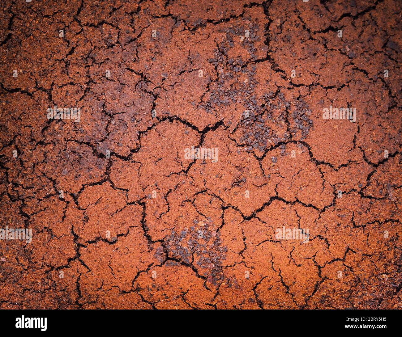 The texture of old brown dry coffee Stock Photo - Alamy