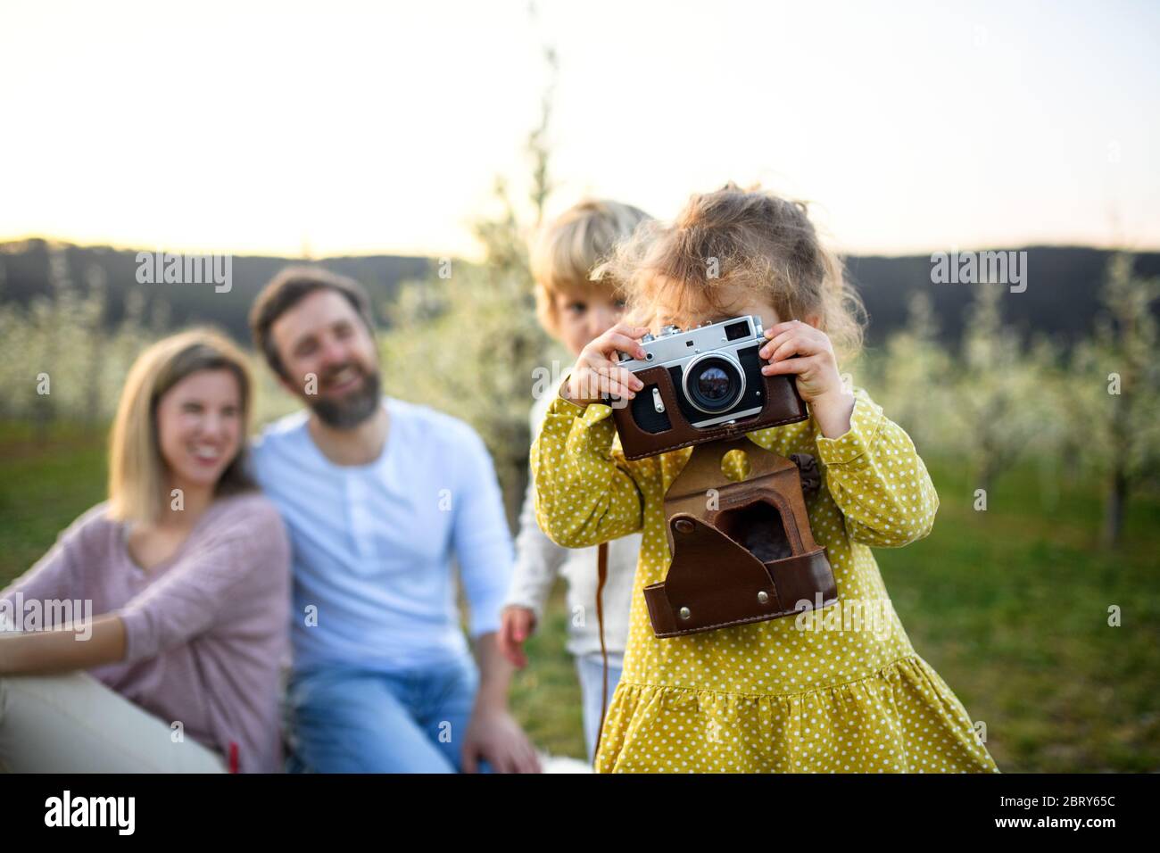 People taking photos of flowers people taking photos in front of hi-res ...