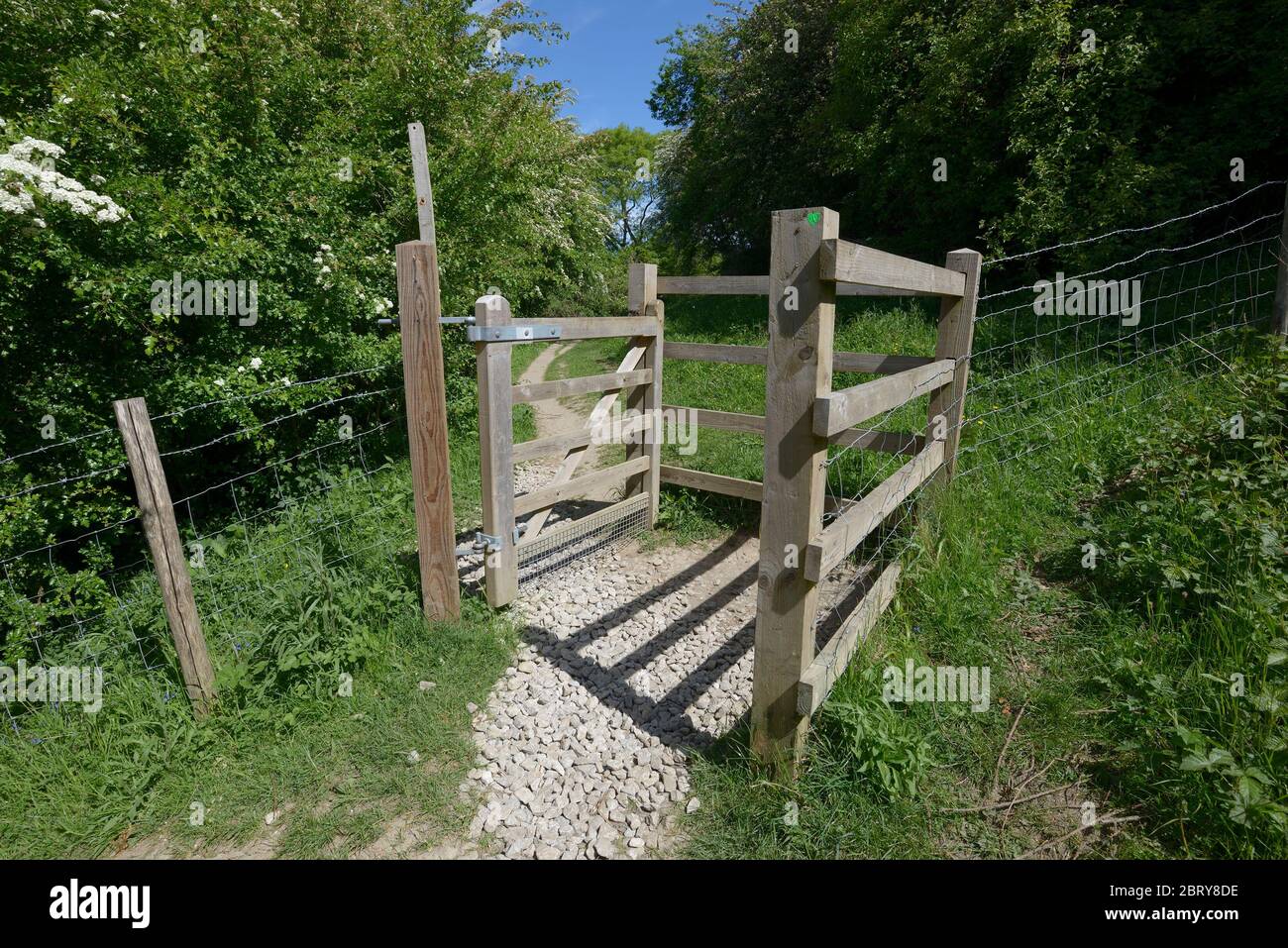 Sheep gate hi-res stock photography and images - Alamy