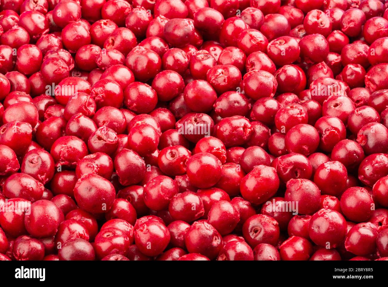 Frozen fresh sour cherries, pitted. Food background. Top view Stock ...