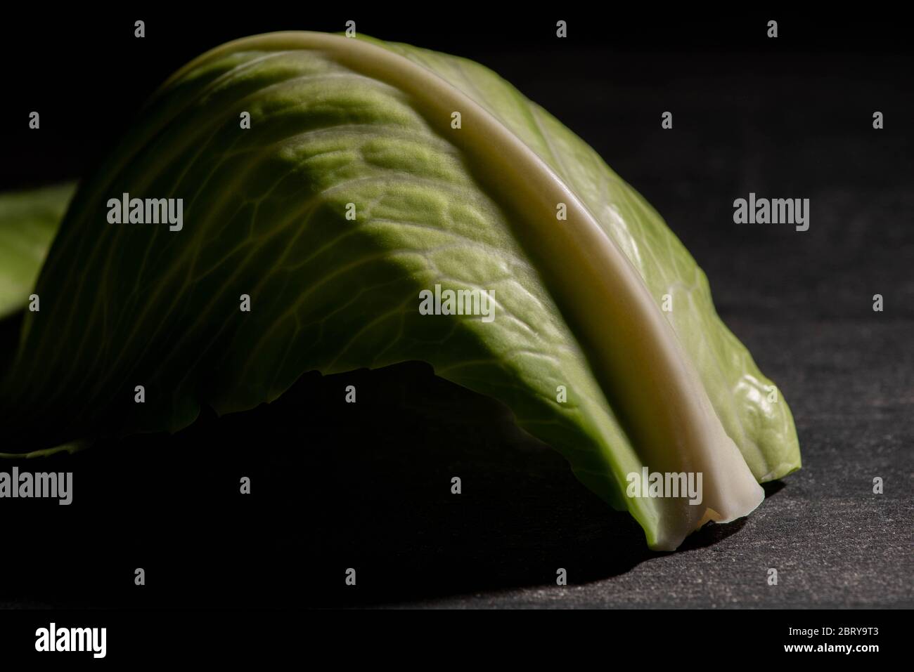 close up view of green fresh cabbage leaf on black Stock Photo - Alamy