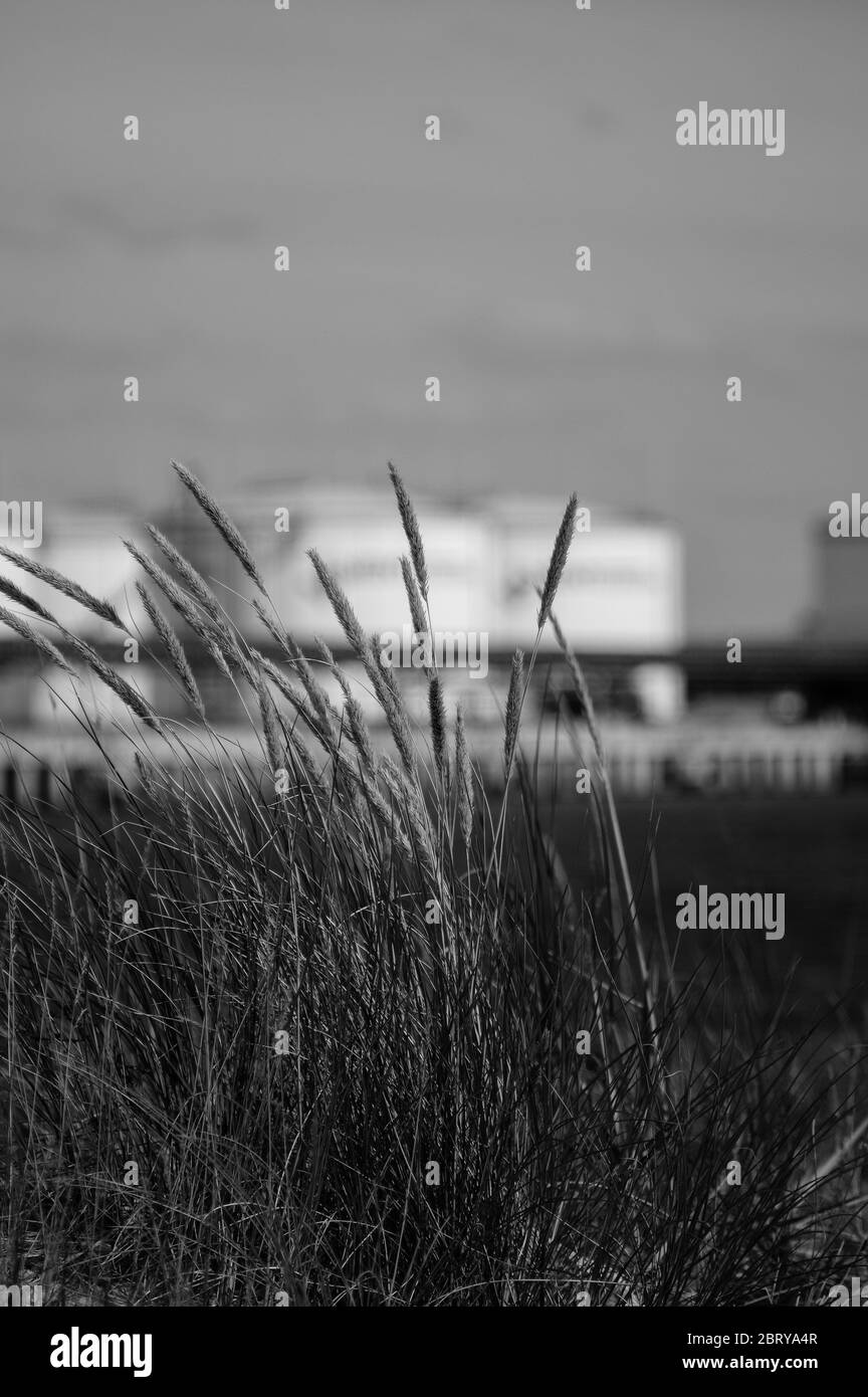 Crude Oil Terminal. Oil terminal is industrial facility for storage of ...