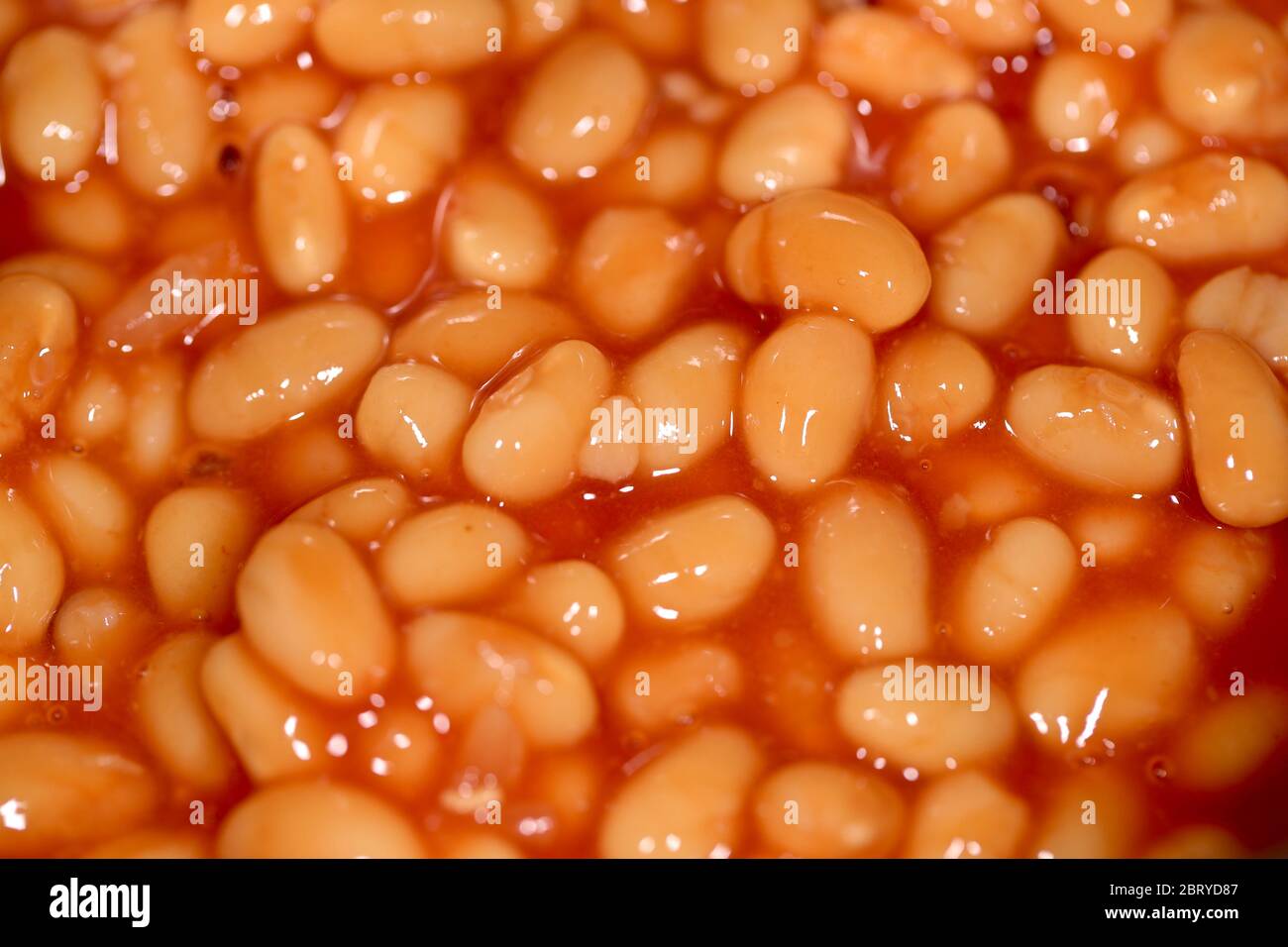 Baked Beans In Tomato Sauce Stock Photo - Alamy