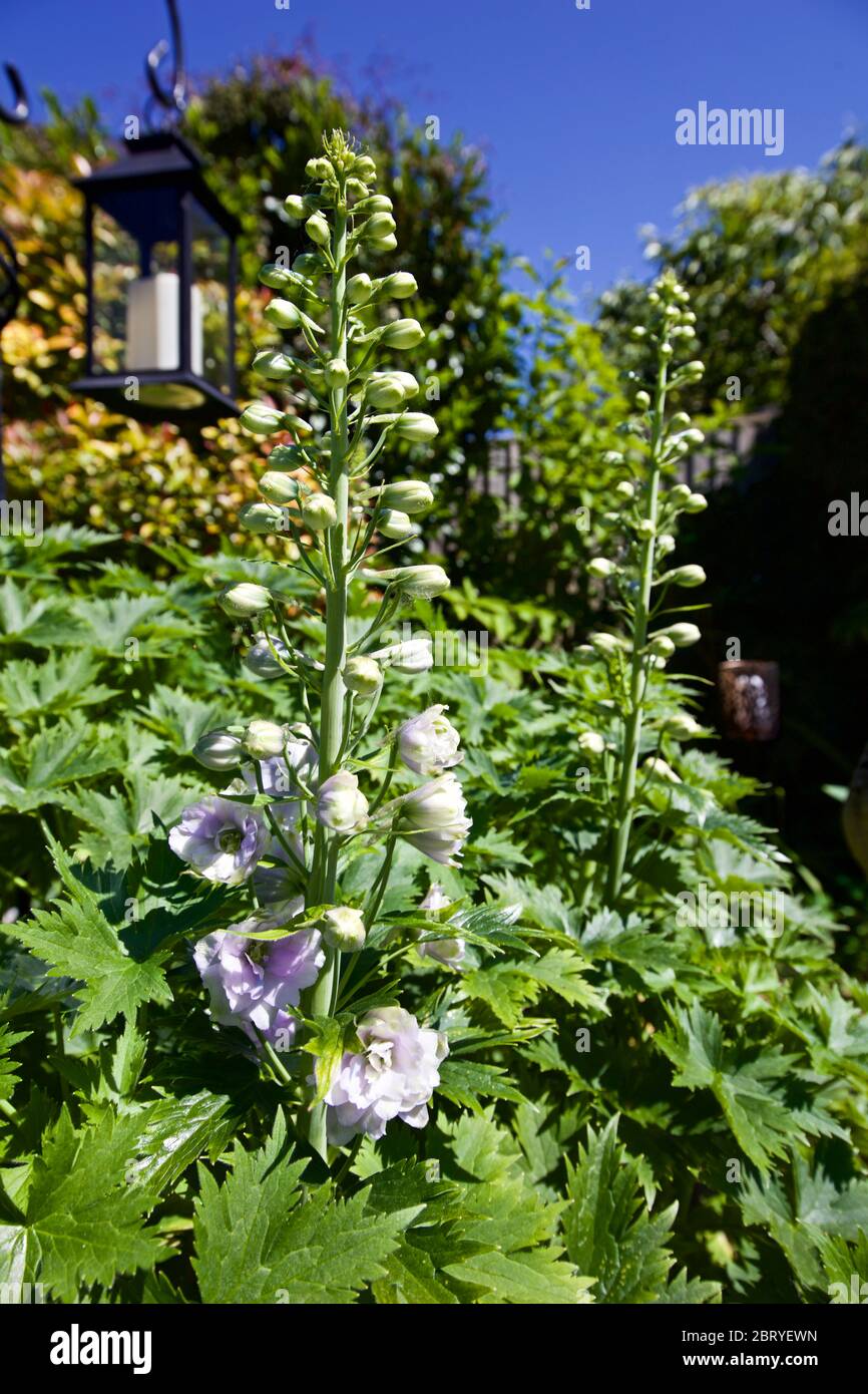 Highlander the series hi-res stock photography and images - Alamy