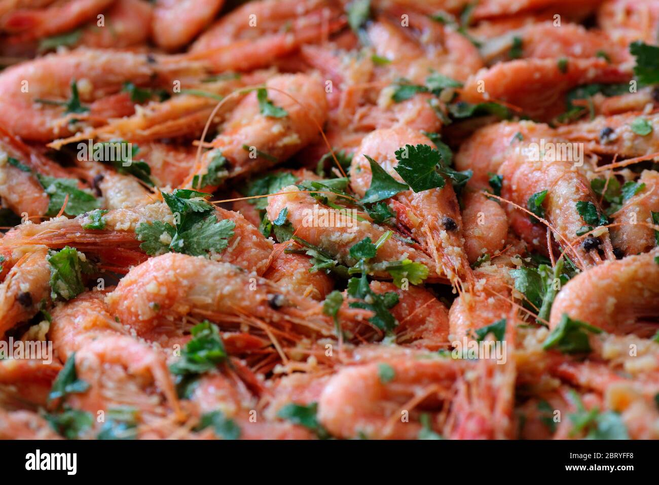 Fresh boiled prawns with coriander. A delicious dish of seafood Stock ...