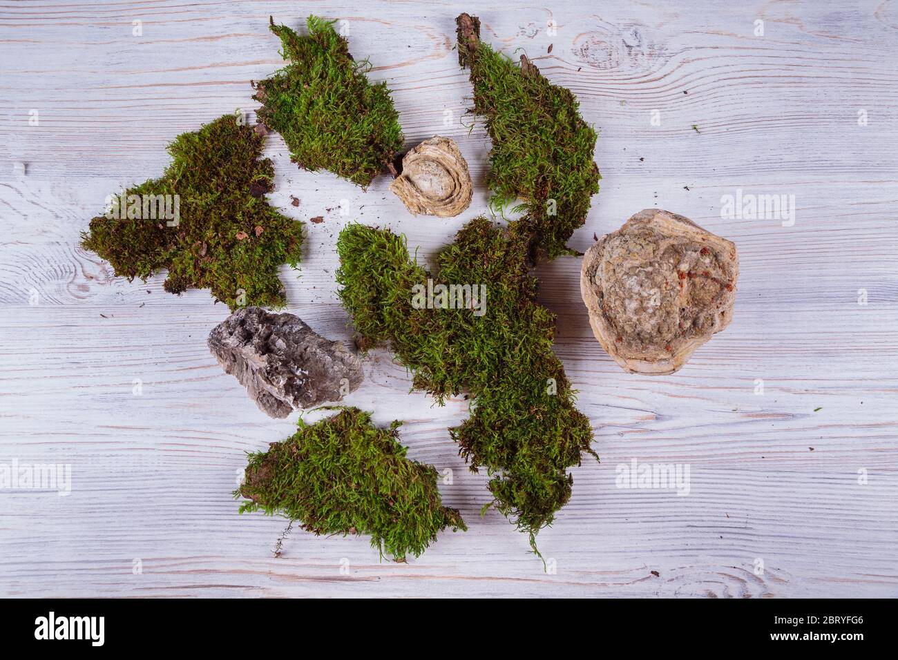 wood table and moss and stones on white background Stock Photo - Alamy