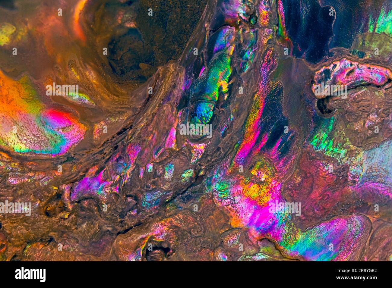 Natural abstract nacre shell colors, background texture Stock Photo - Alamy