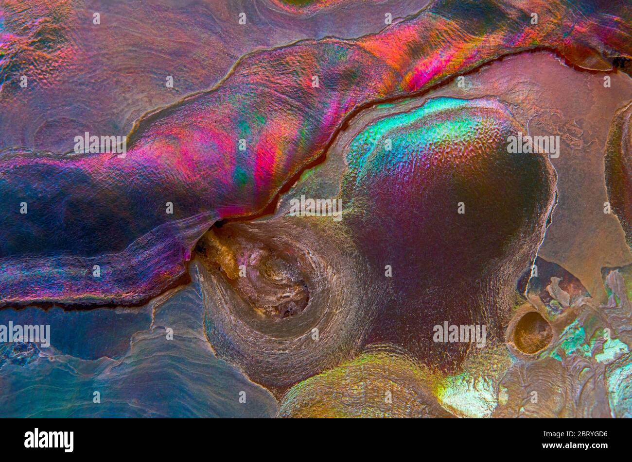 Natural abstract nacre shell colors, background texture Stock Photo - Alamy