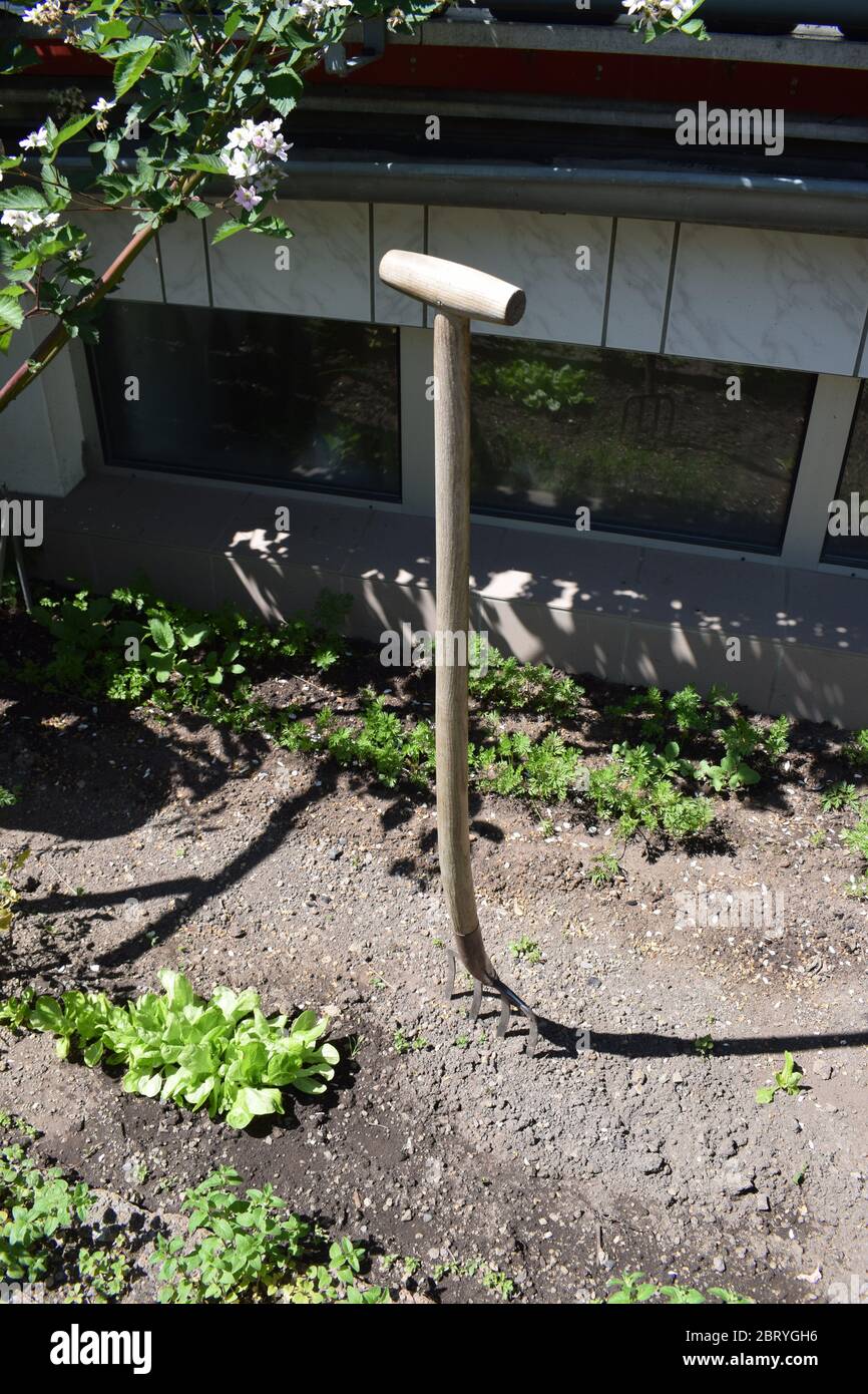 garden in spring during planting time Stock Photo - Alamy