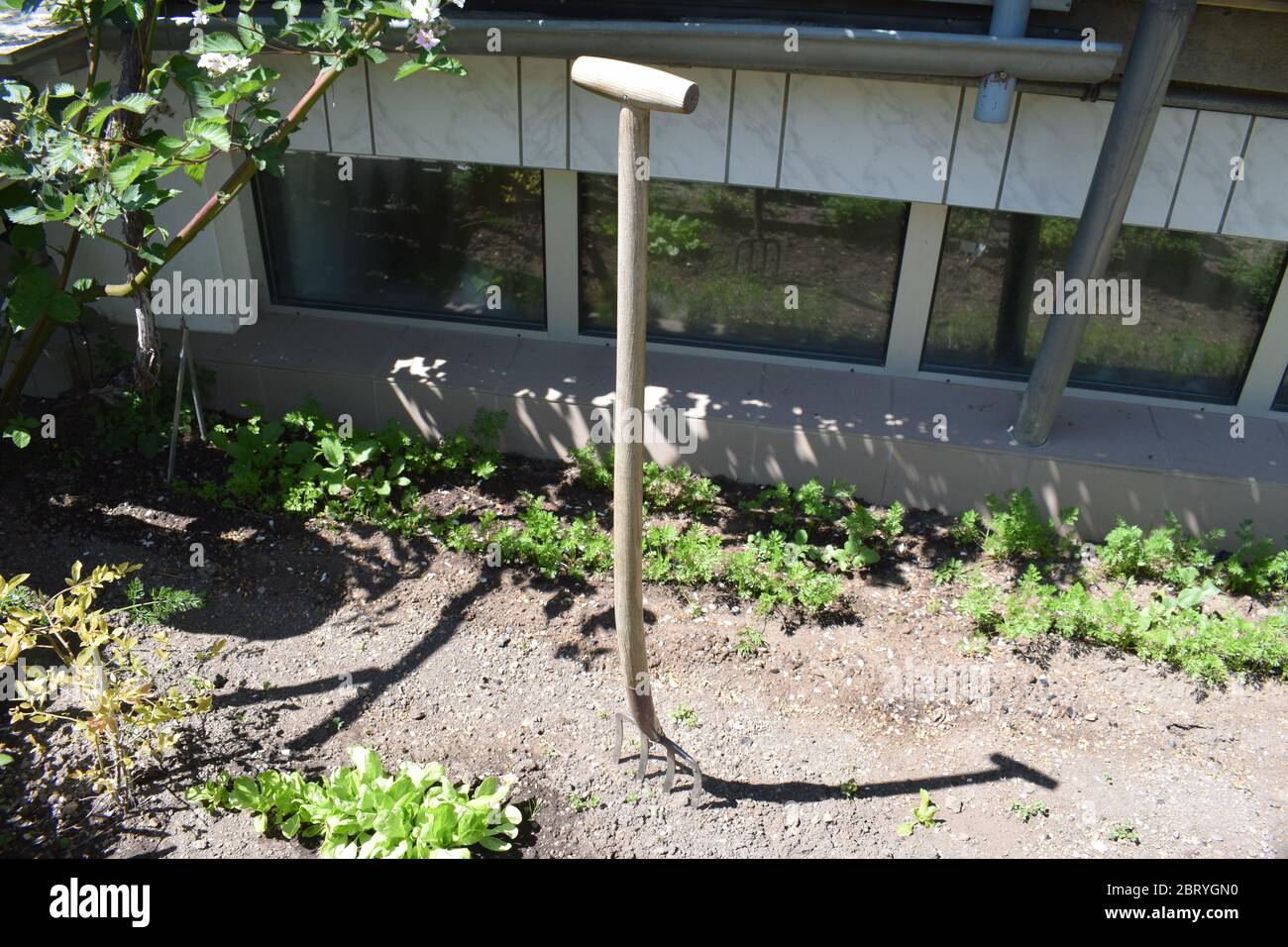 garden in spring during planting time Stock Photo - Alamy