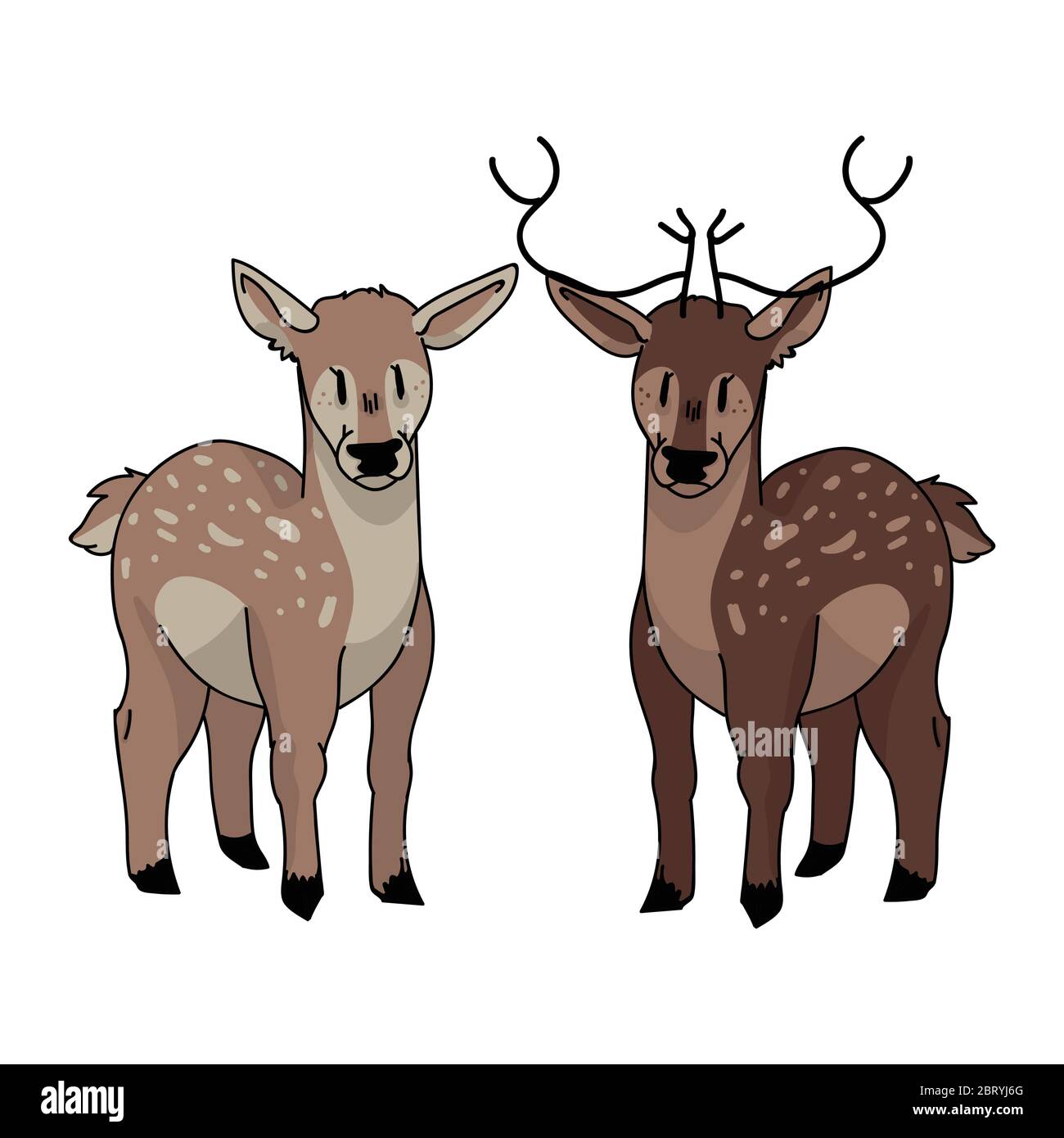 Buck And Doe Clip Art