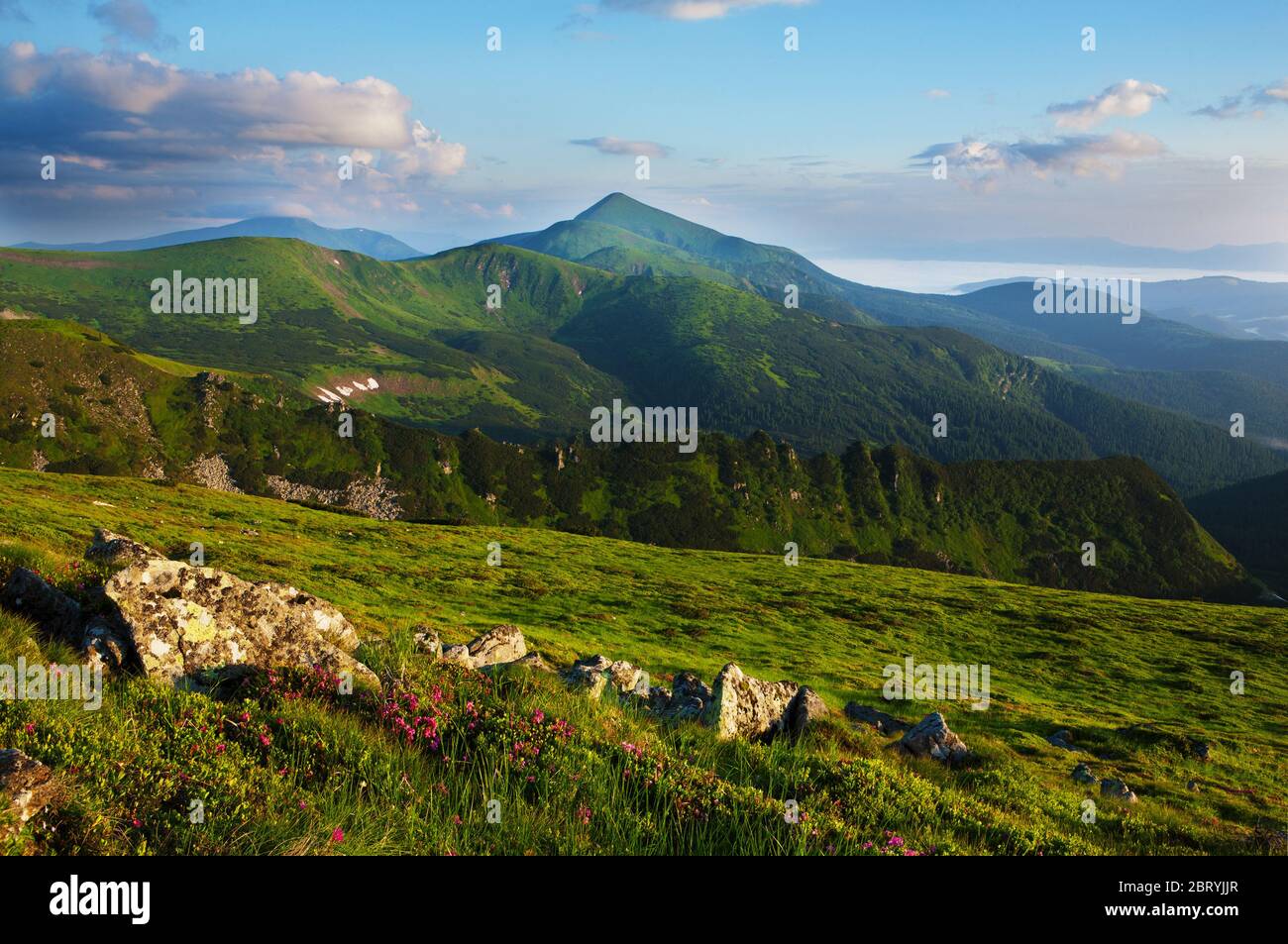 Great view in the mountains on a summer day Stock Photo - Alamy