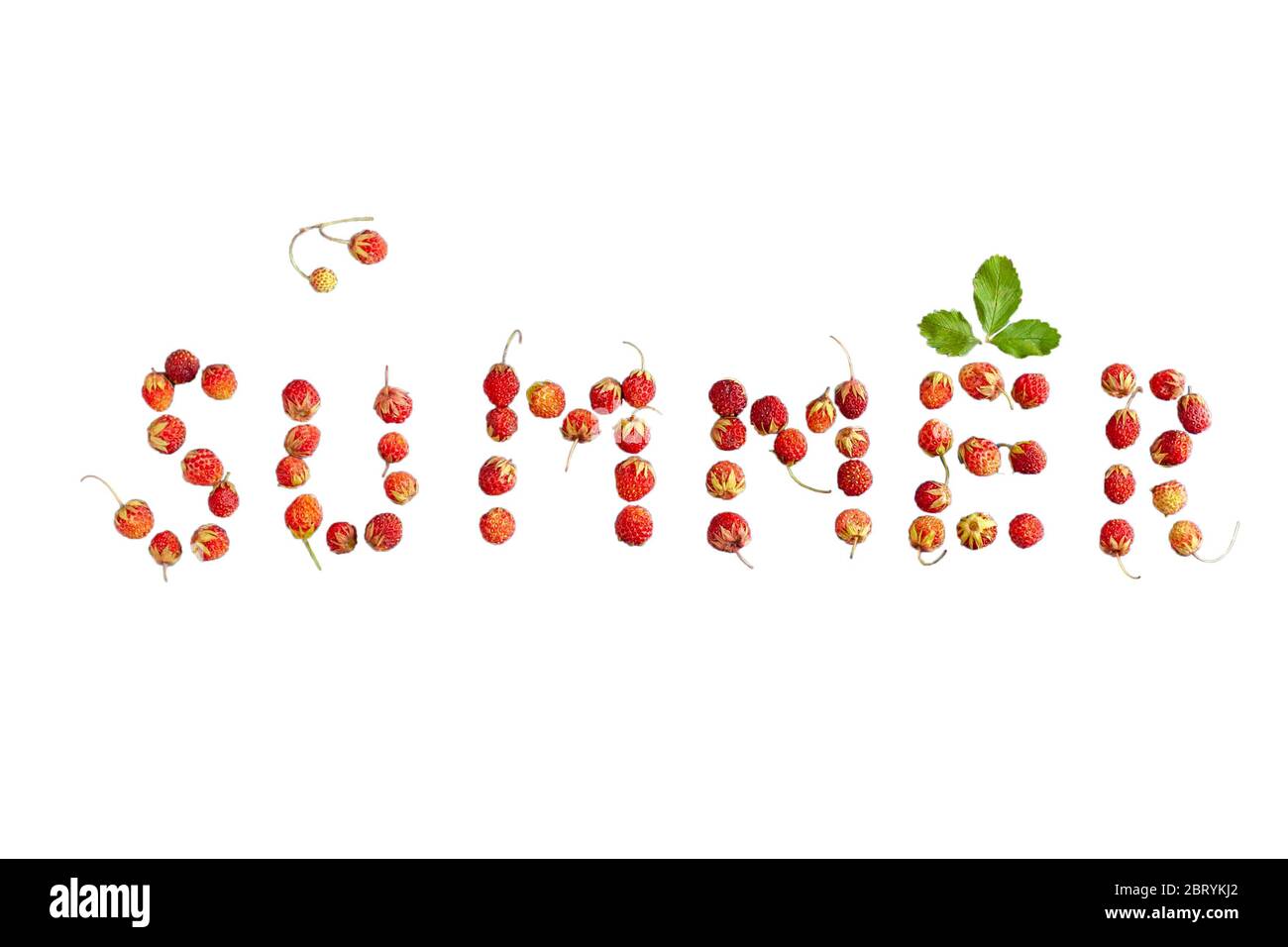 The text summer lined with strawberries isolated on white background ...