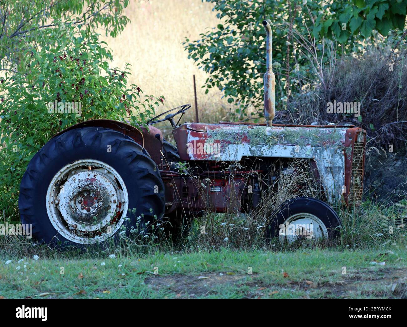 Tractor. Old, rusty, vintage, lichen covered ,abandoned farm tractor ...