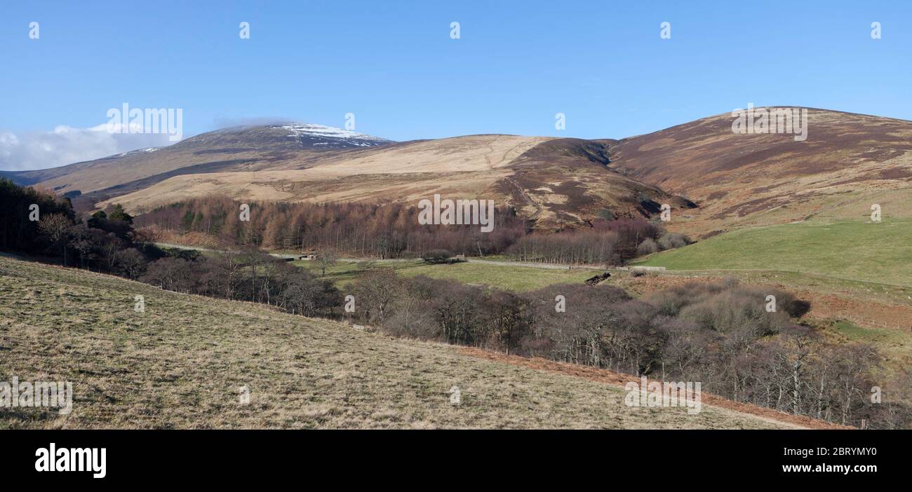 Cheviot hill hi-res stock photography and images - Alamy