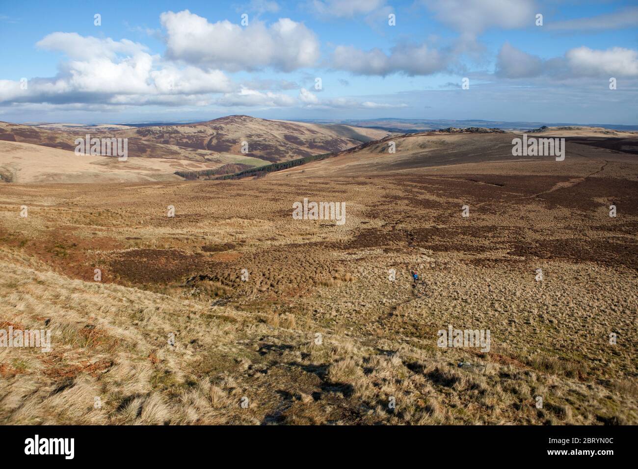 Hedgehope burn hi-res stock photography and images - Alamy