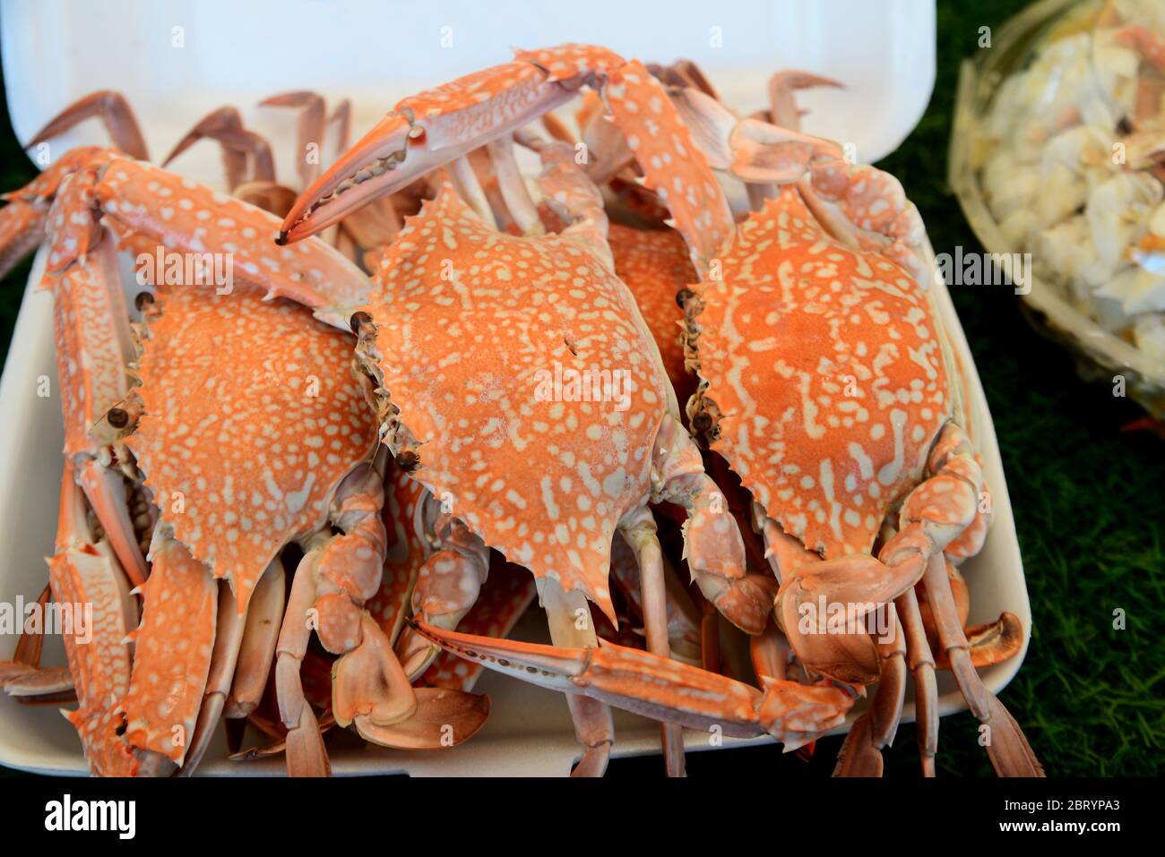 Steamed Blue Crabs in foam box for sell Stock Photo - Alamy