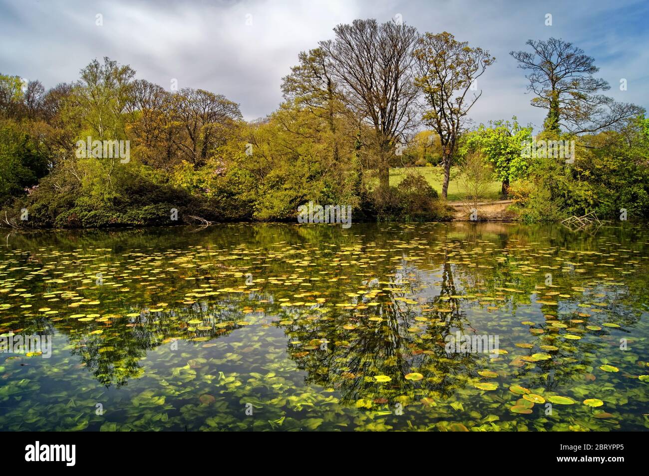 Graves park hi-res stock photography and images - Alamy