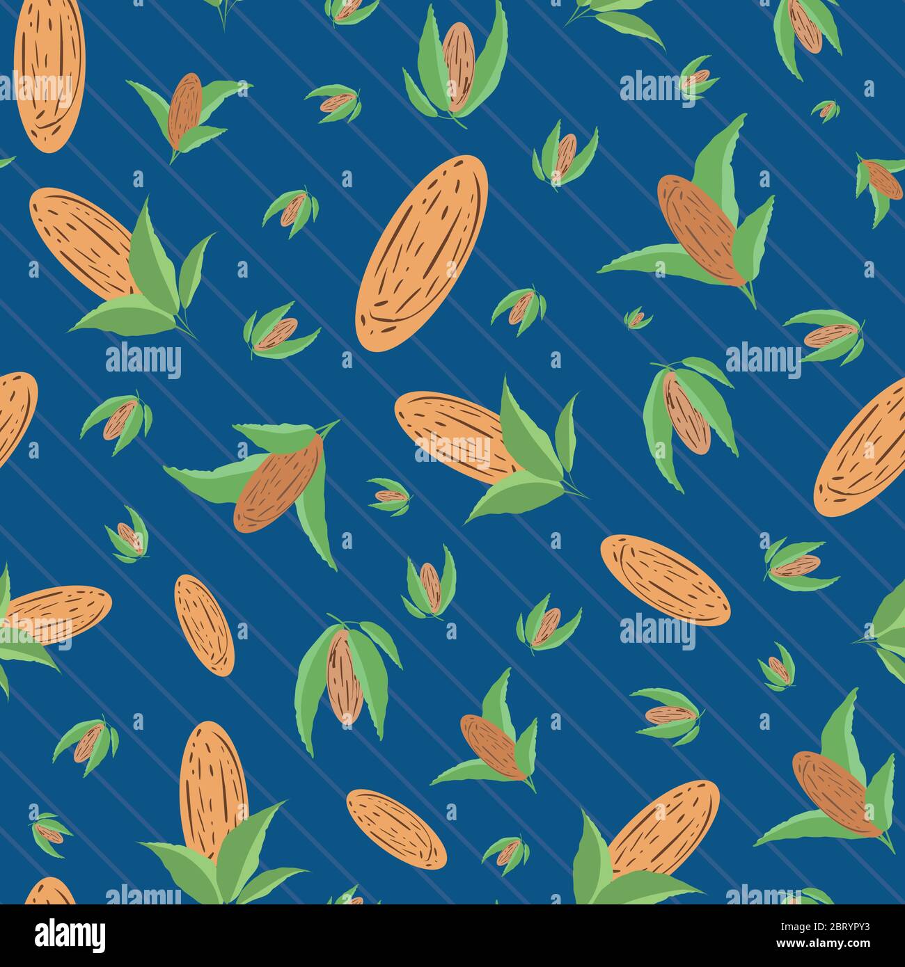 Almond shells Stock Vector Images - Alamy