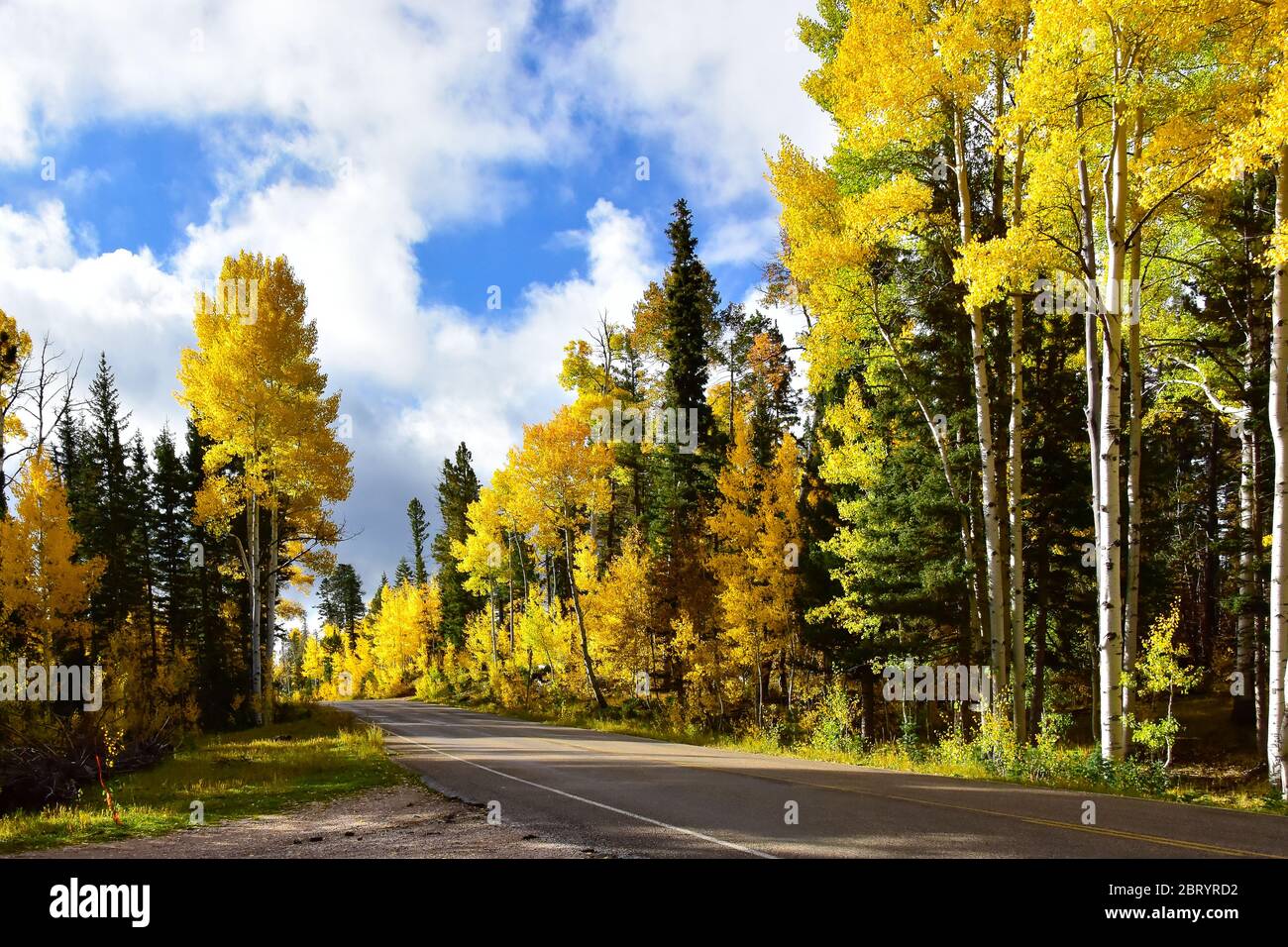 Canyon with fall colors hi-res stock photography and images - Alamy