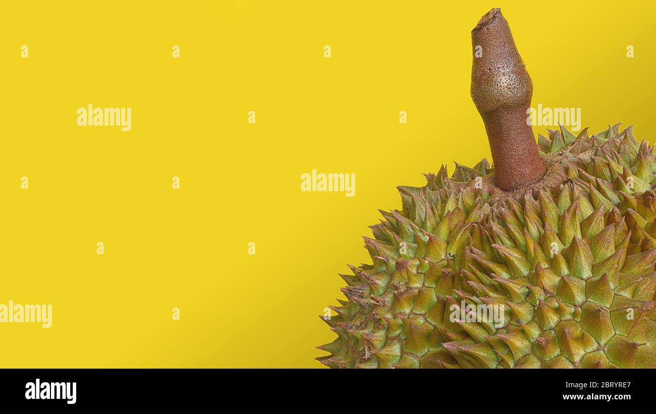 Durian flower hi-res stock photography and images - Alamy