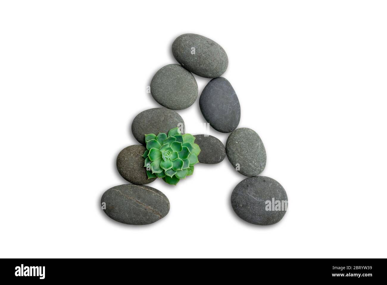 Alphabet letters made of beach stones or ocean stones with Sempervivum ...