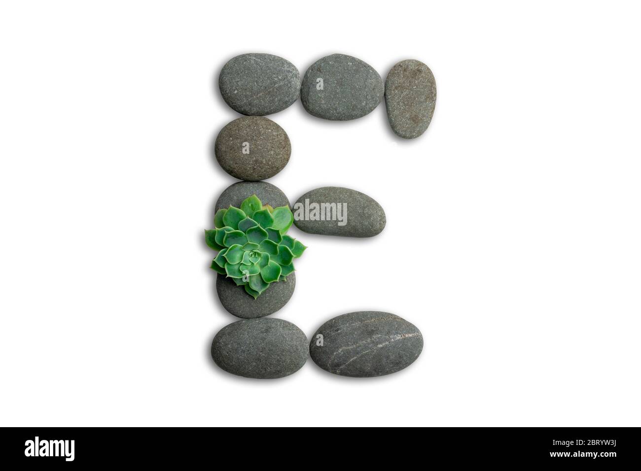 Alphabet letters made of beach stones or ocean stones with Sempervivum ...