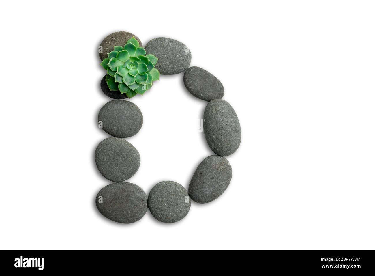 Alphabet letters made of beach stones or ocean stones with Sempervivum ...