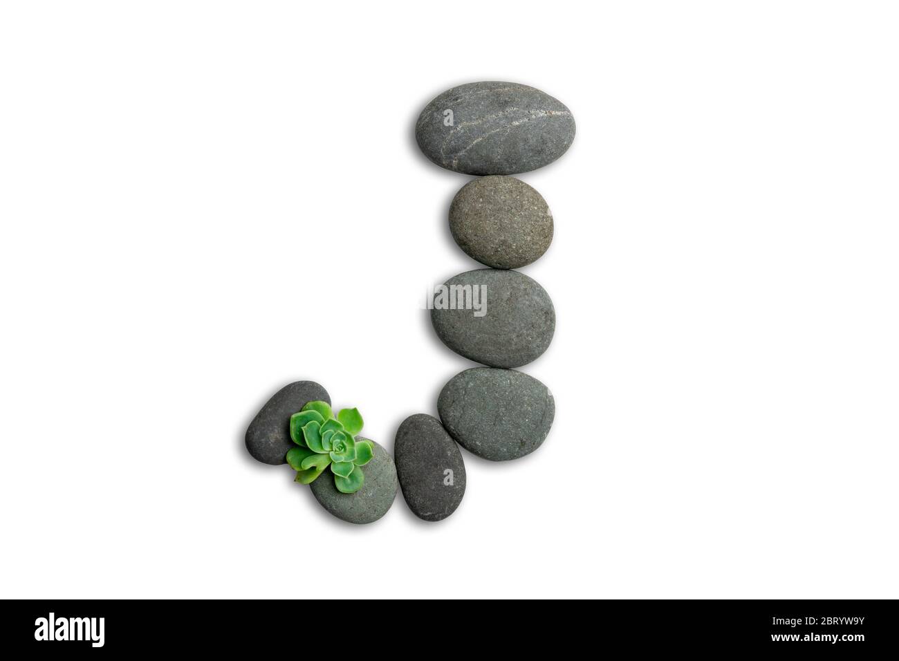 Alphabet letters made of beach stones or ocean stones with Sempervivum ...