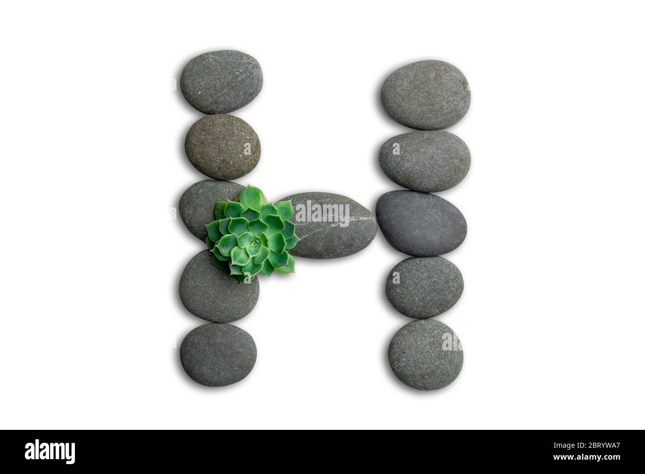 Alphabet letters made of beach stones or ocean stones with Sempervivum ...