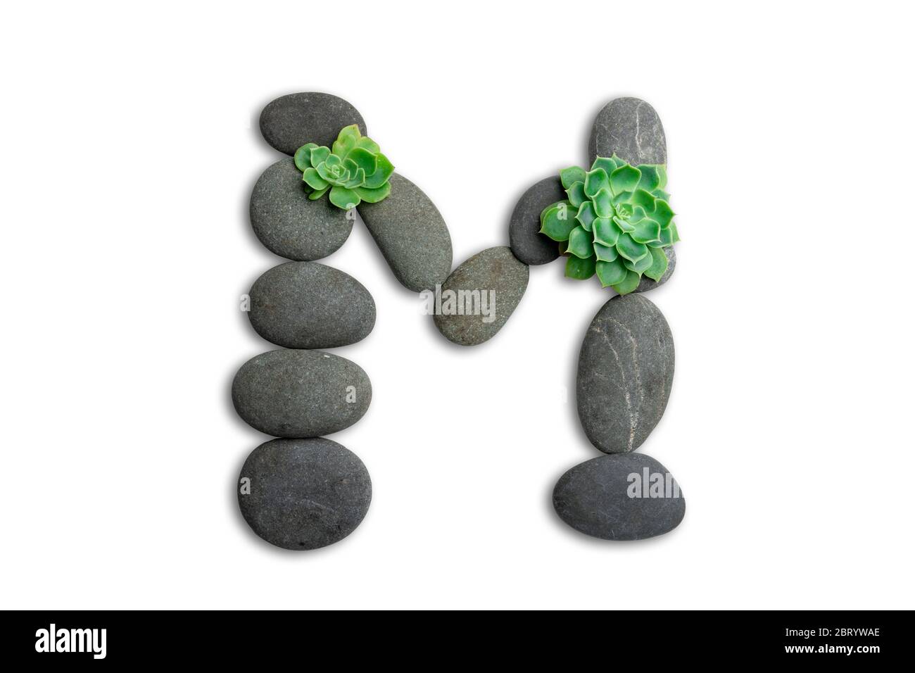 Alphabet letters made of beach stones or ocean stones with Sempervivum ...