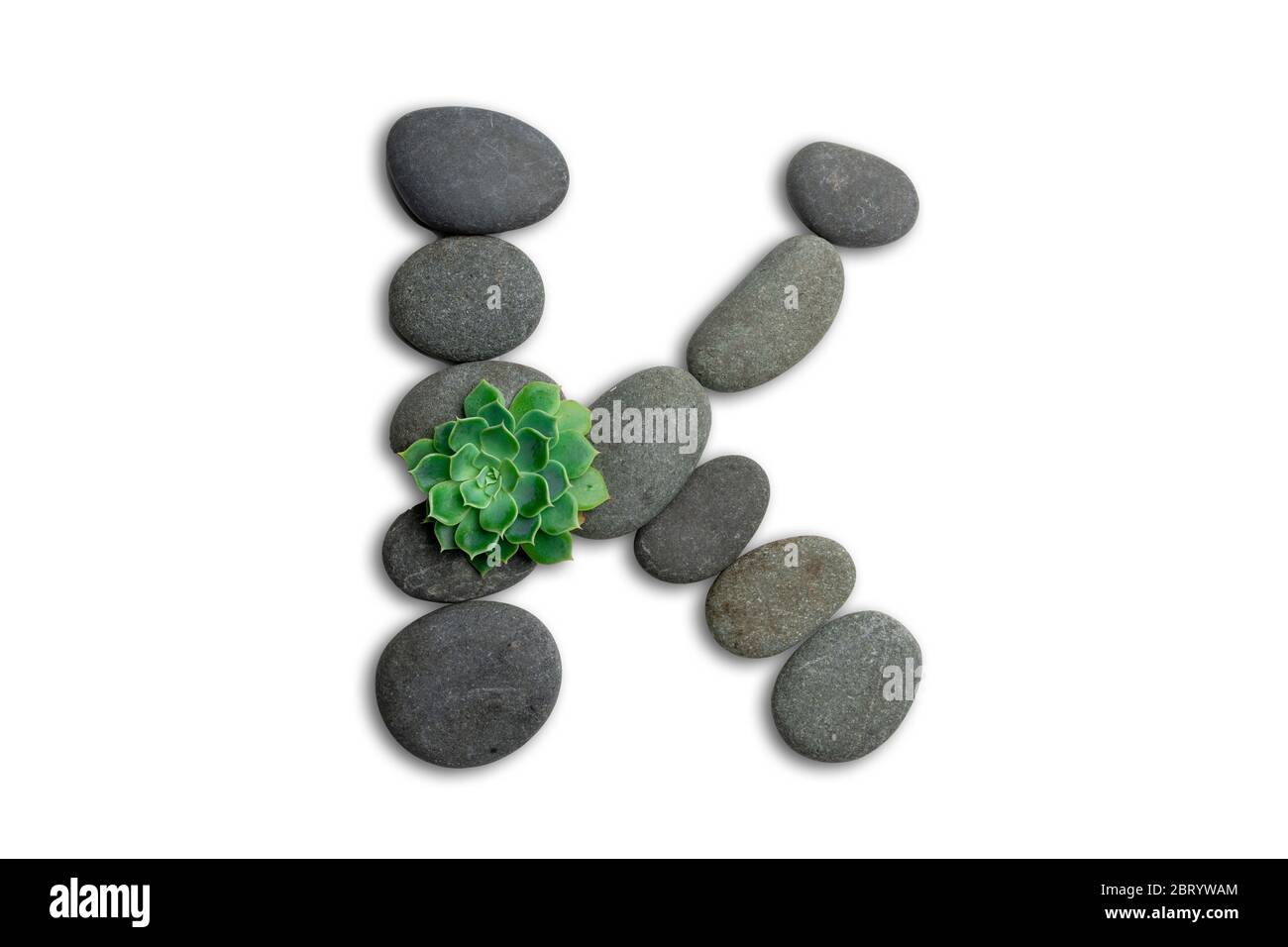 Alphabet letters made of beach stones or ocean stones with Sempervivum ...