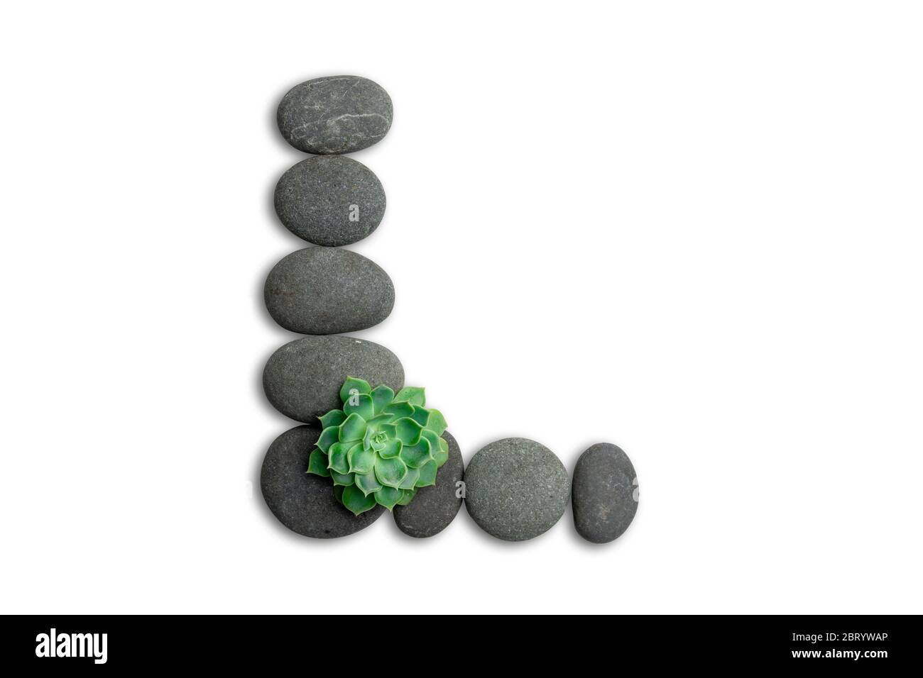 Alphabet letters made of beach stones or ocean stones with Sempervivum ...