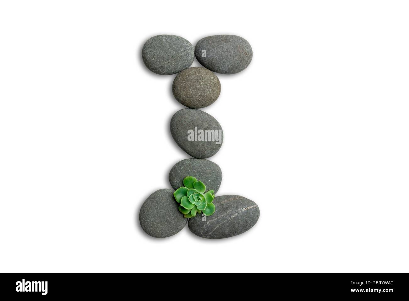 Alphabet letters made of beach stones or ocean stones with Sempervivum ...