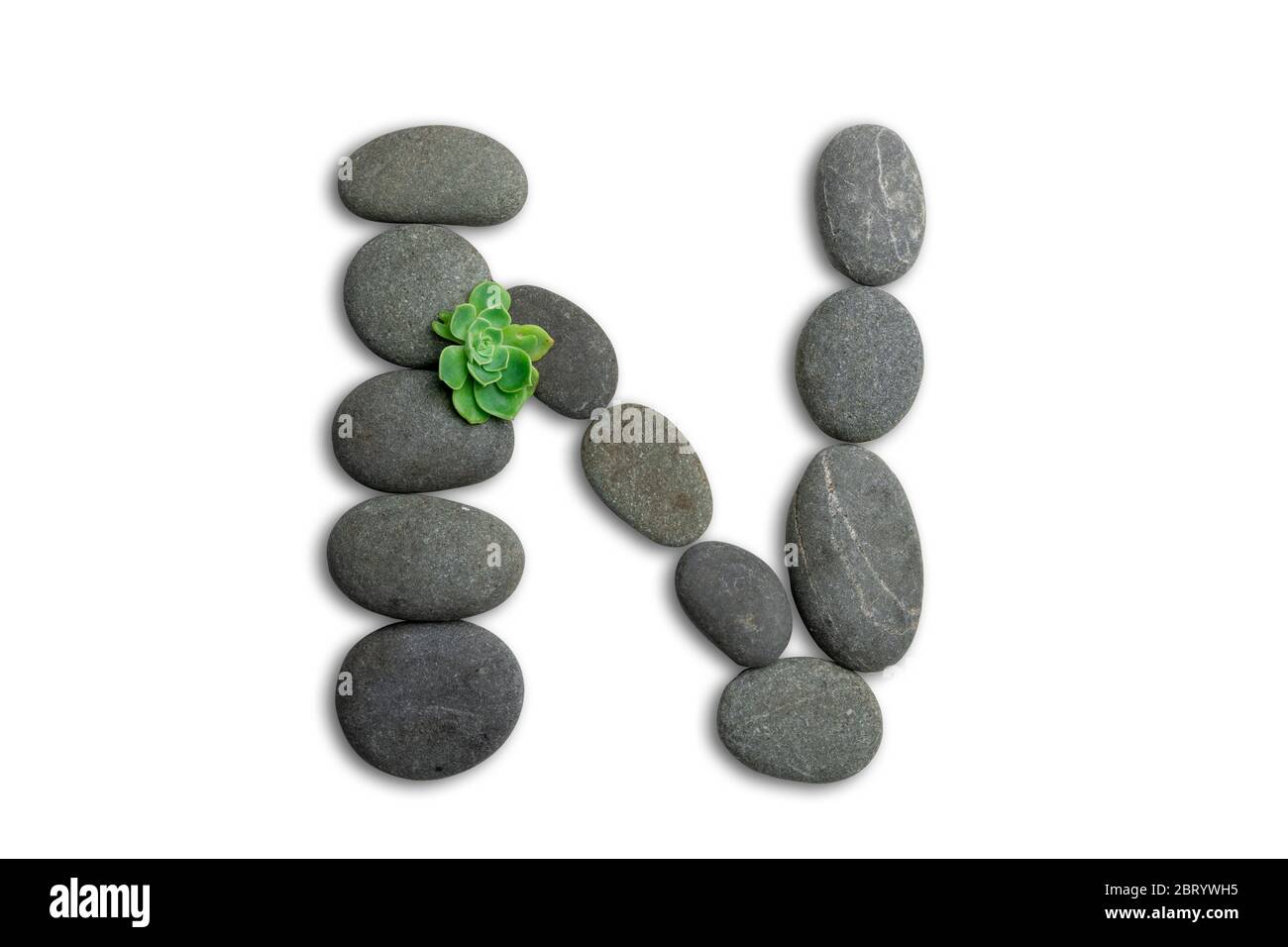 Alphabet letters made of beach stones or ocean stones with Sempervivum ...