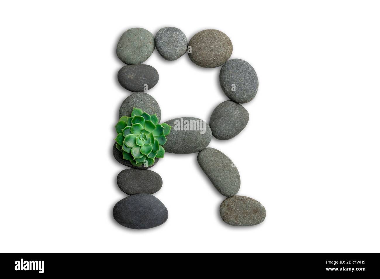 Alphabet letters made of beach stones or ocean stones with Sempervivum ...