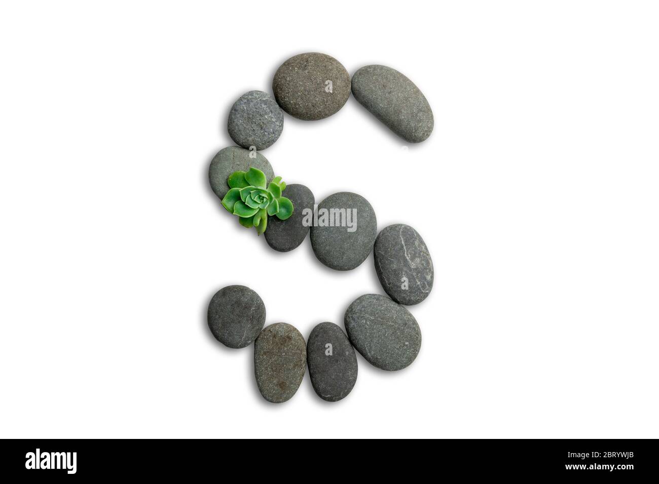 Alphabet letters made of beach stones or ocean stones with Sempervivum ...