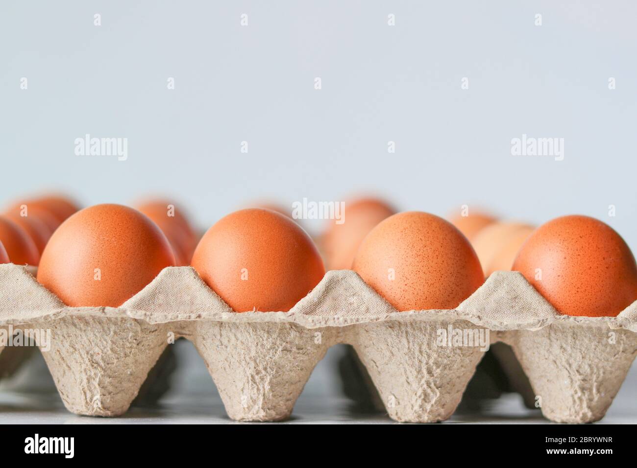 Eggs on paper egg panel on white background Stock Photo - Alamy
