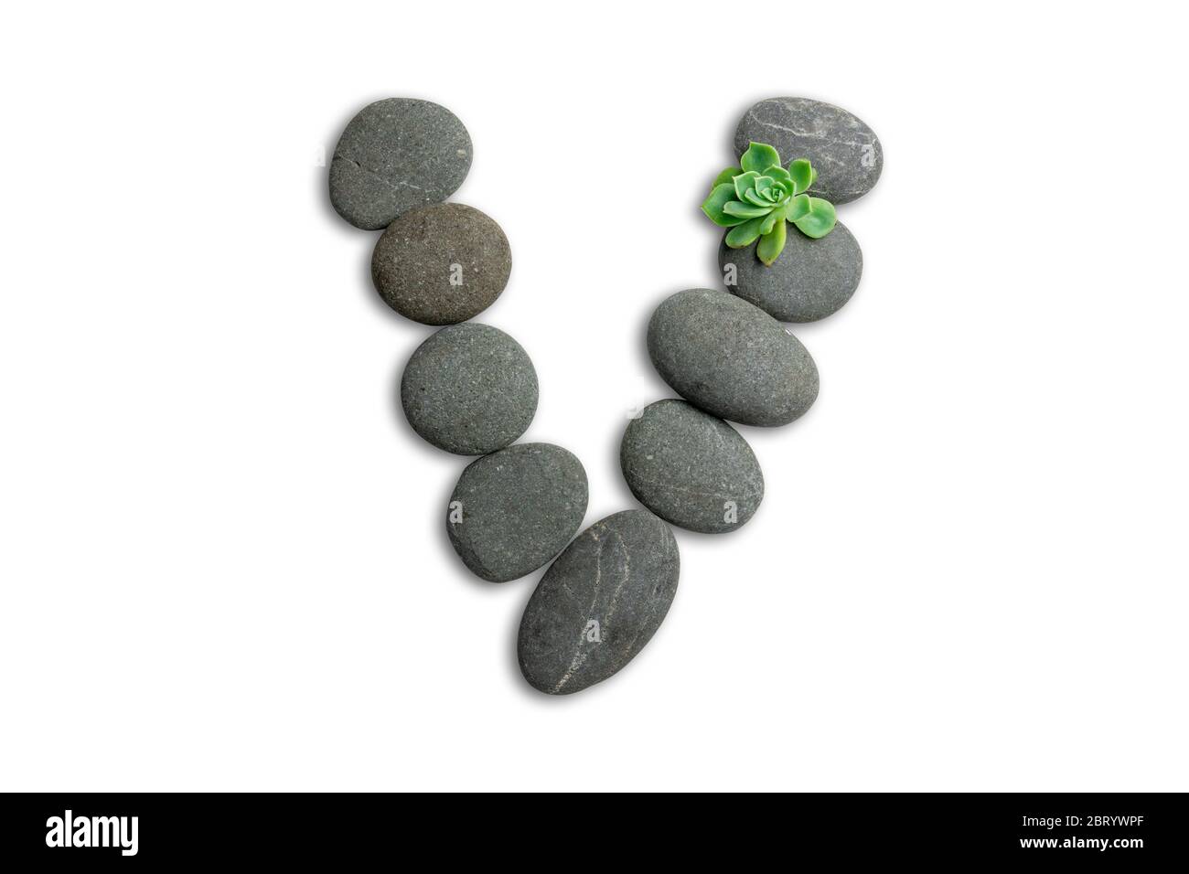 Alphabet letters made of beach stones or ocean stones with Sempervivum ...