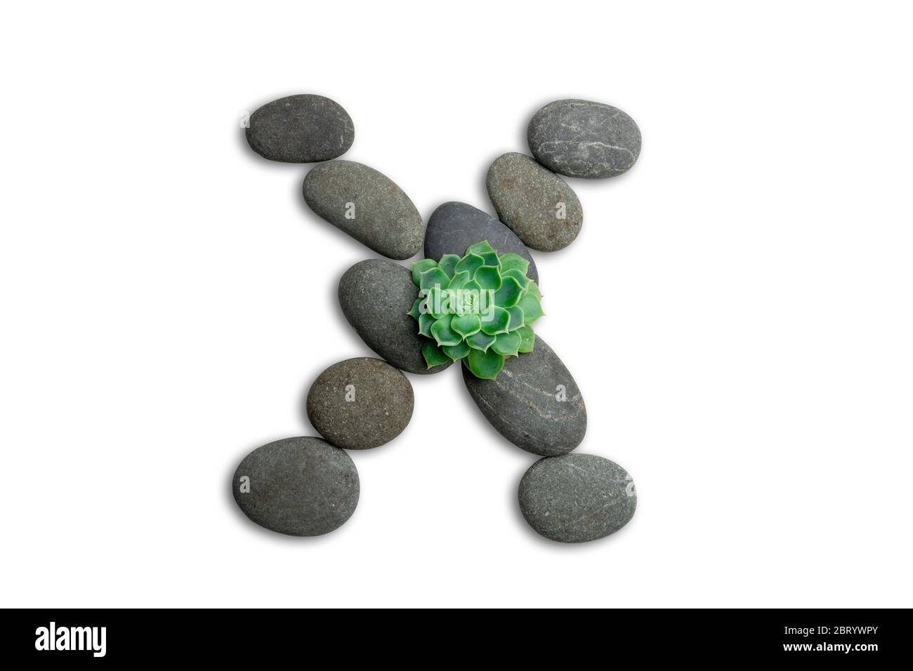 Alphabet letters made of beach stones or ocean stones with Sempervivum ...