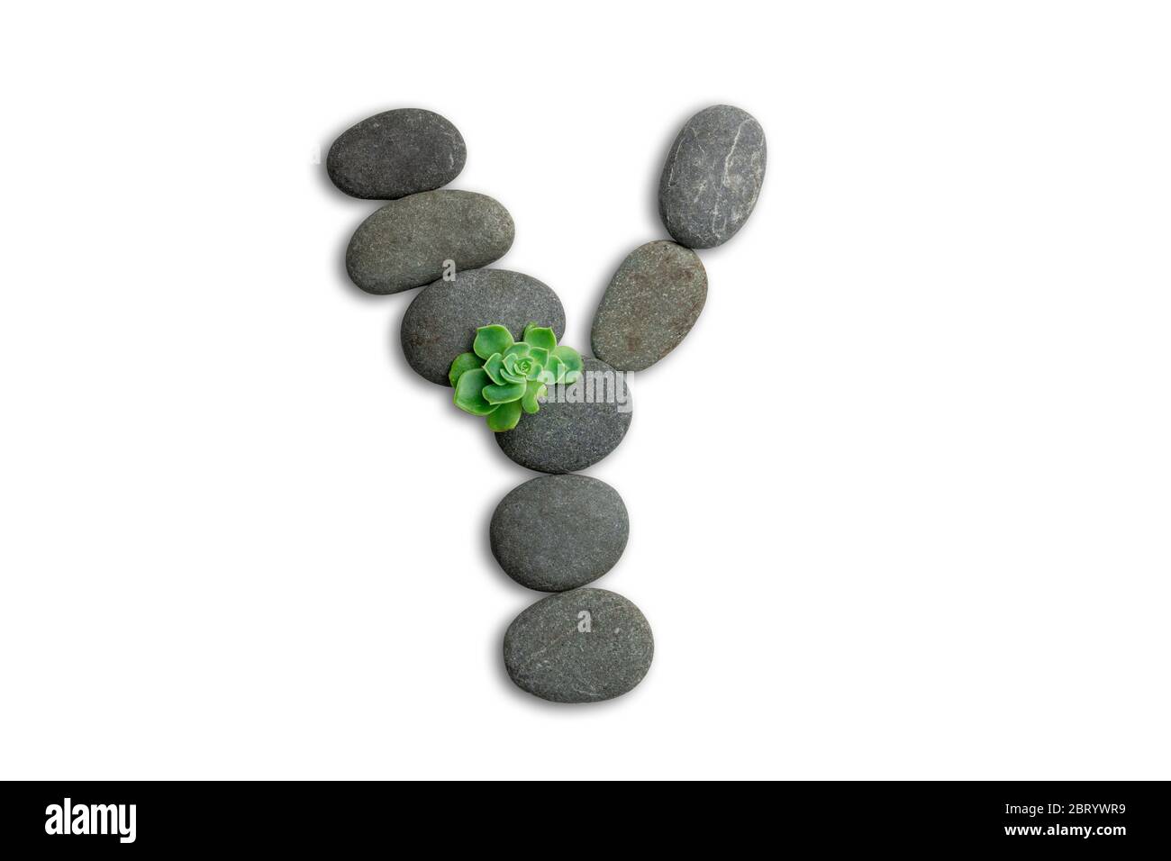 Alphabet letters made of beach stones or ocean stones with Sempervivum ...