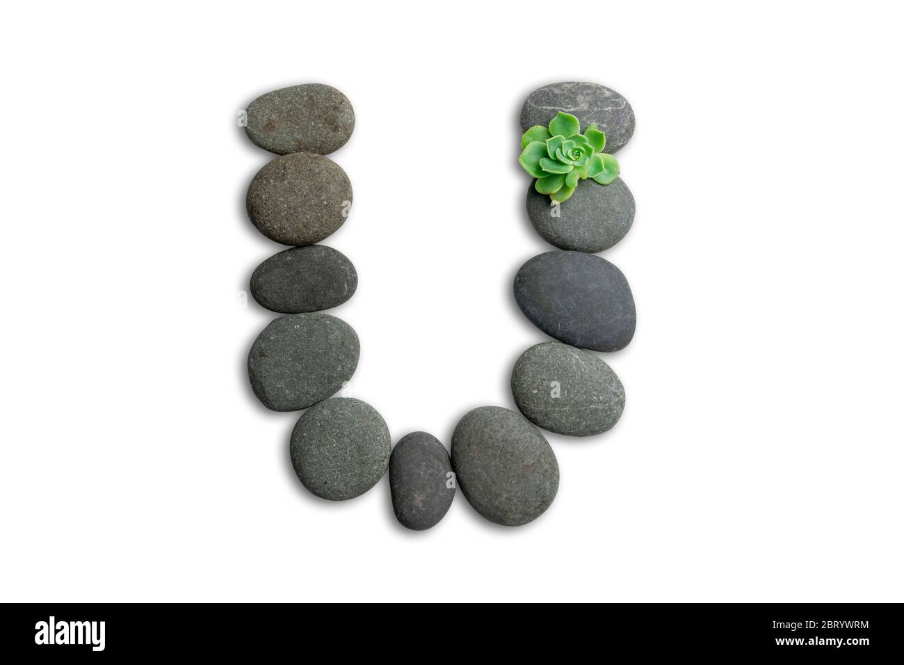 Alphabet letters made of beach stones or ocean stones with Sempervivum ...