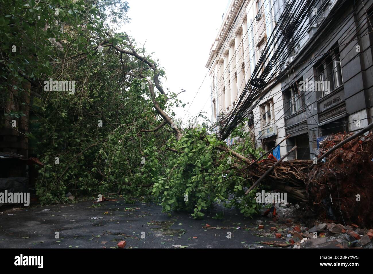 Kolkata, India. 21st May, 2020. A damaged Kolkata City after Cyclone ...