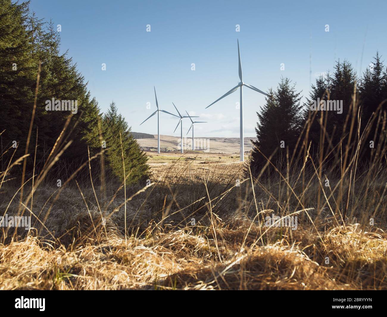 Wind turbines on a wind farm in rural Ulster, Northern Ireland Stock ...