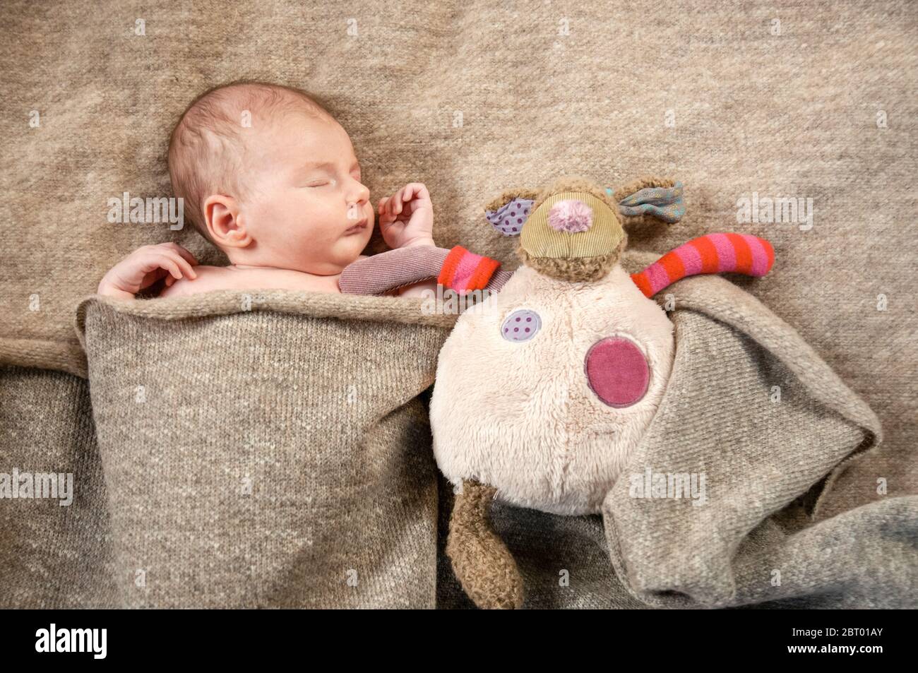 A four week old baby nestled in blankets asleep Stock Photo - Alamy