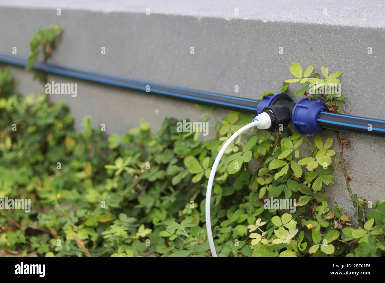 Connection points for automatic watering plants Stock Photo - Alamy