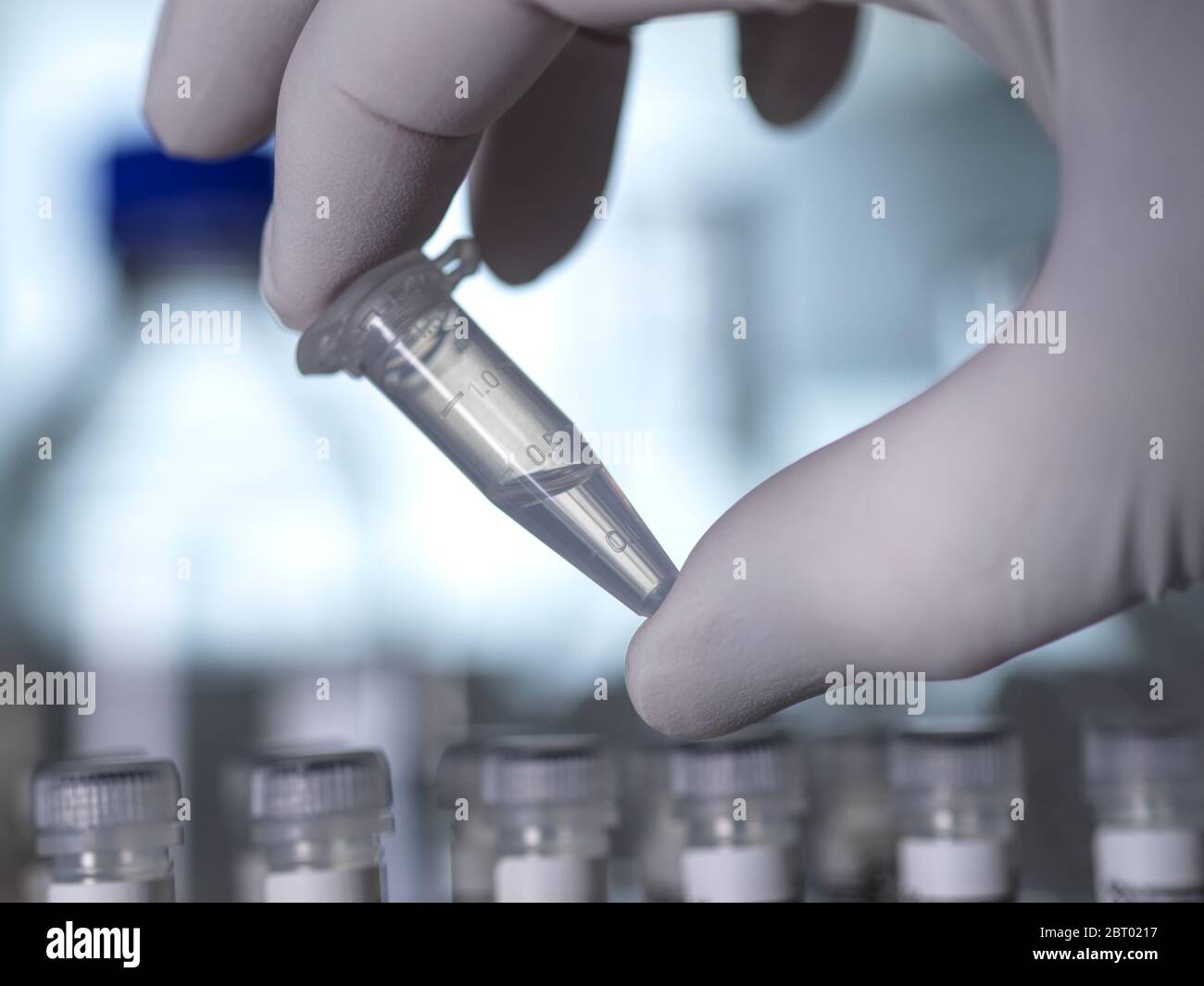 Scientist preparing DNA samples ready for automated analysis in the lab handling eppendorf tubes ...