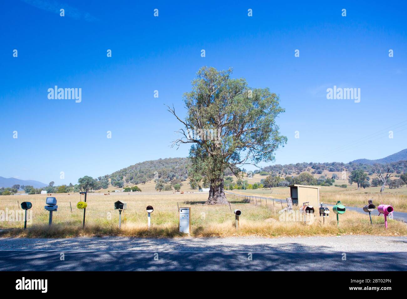 Rural Letterboxes in Country Australia Stock Photo - Alamy